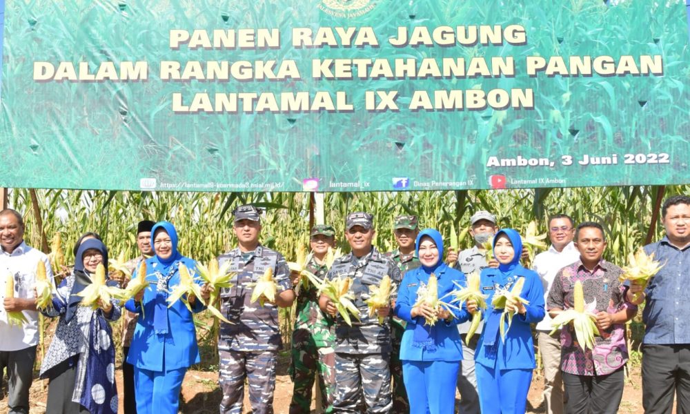 Panen Raya Jagung, Aspotmar Kasal Apresiasi Kinerja Danlantamal – Info Baru
